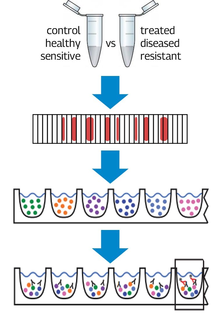 Assay Engineers – Expertise, Dedication and Customer Orientation