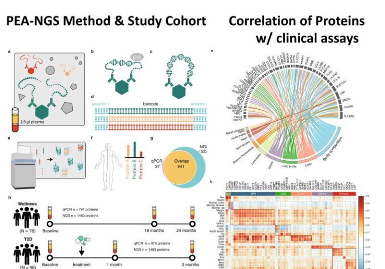 𝐆𝐫𝐞𝐚𝐭 𝐬𝐭𝐮𝐝𝐲 𝐨𝐧 𝐍𝐞𝐱𝐭 𝐆𝐞𝐧 𝐏𝐥𝐚𝐬𝐦𝐚 𝐏𝐫𝐨𝐭𝐞𝐨𝐦𝐞 𝐏𝐫𝐨𝐟𝐢𝐥𝐢𝐧𝐠 – Assay Engineers